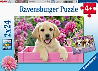 Puslespill 2x24 Hundevalper | Ark.no