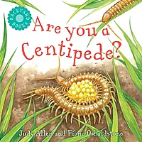 Are You a Centipede? | Judy Allen | Ark.no