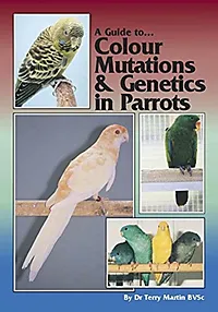A Guide to Colour Mutations and Genetics in Parrots | Terry Martin | A