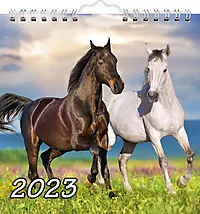 Kalender hest | Ark.no